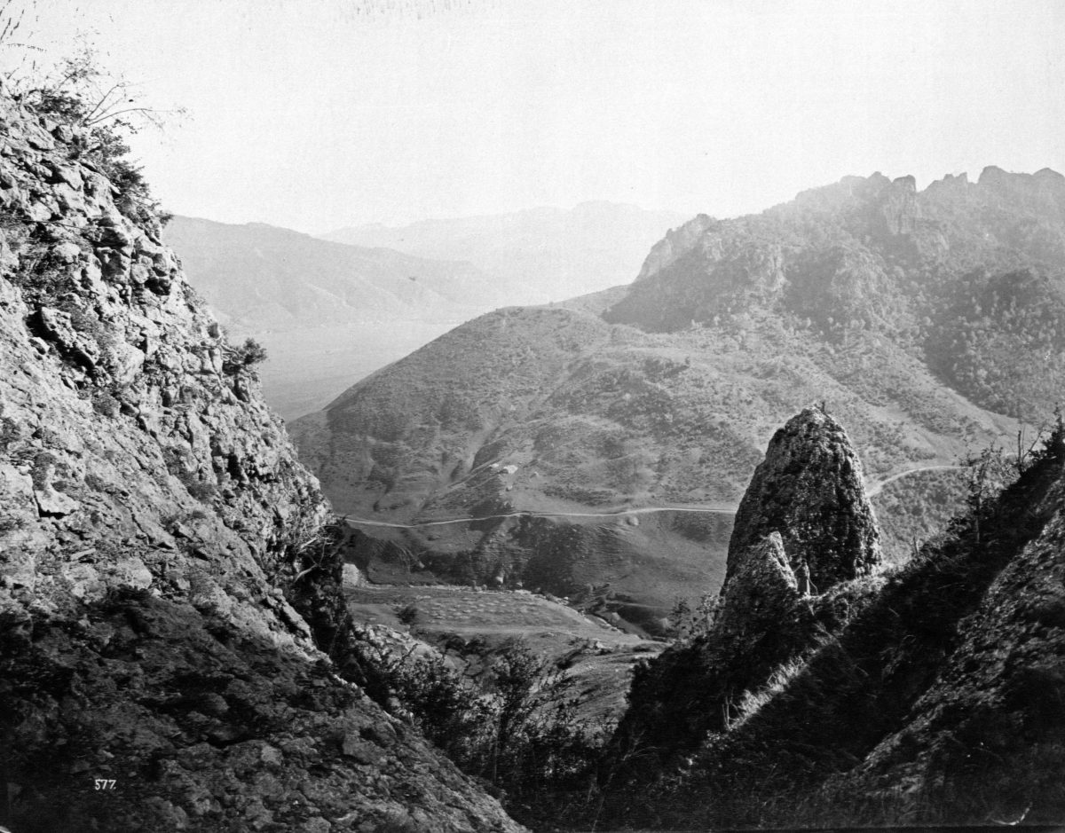 The Branobel Company - Nobel brothers